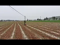Full Tooth Combined Farm Land Preparation Machine Soil Agricultural Equipment