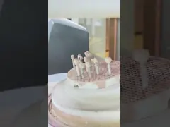 Dental All-on-6 Dental Implant Supported Dentures con stabilità e comfort