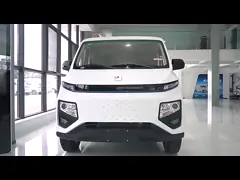 EEC Electric Car