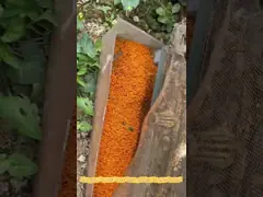 Natural Bee Honey