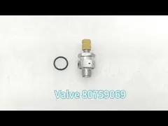 China Nitrogen Accumulator Gas Charging Valve 80759069 For Hydraulic Hammer Inflation Valve for sale
