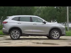 Cina HAVAL H6S 2.0T SUV a benzina a trazione integrale 2022 SUV Carro a combustibile con finestra anteriore a sollevamento di una chiave e motore a benzina in vendita