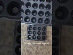 28 cell plastic black seedling tray