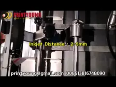 China PRINTYOUNG Portable Pagination Automatic Mini Continuous Inkjet Printing Machine for sale