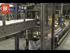 Bag water case packing machine Robotic carton palletizer