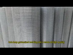 Disponibile un campione gratuito di rete di filo galvanizzato saldato a caldo 14 16 gauge