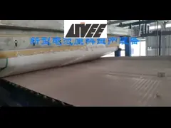 Video of Belt Filter