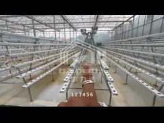 A Frame Nft Hydroponic System