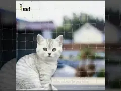 China Nylon Pet Safe Net Transparent Balcony Protection Net Customized for sale