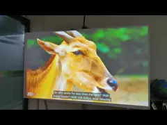 China 1920x1200 5500 Lumen Multimedia Projector Multimedia Projector With Manual Zoom for sale