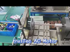 Cina Motore a corrente alternata - 125W 1350/1250/1150RPM 115V 60Hz in vendita