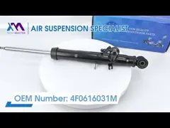 Tech Master TMAIRSUS Rear Shock Aborber for Audi A6 C6 4F0616031M