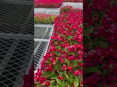 Nursery Seedbed 4x8 Flood Trays Tables Movable Rolling Bench Greenhouse Table System Cultivation
