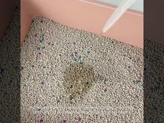 Supplier OEM Dust Free Bentonite Cat Litter Strong Clumping Easy Clean Customized Scent