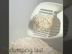 China Biodegradable Tofu Cat Litter - Fast Clumping, Dust-Free Strip Type, 100% Natural Formula for Eco-Friendly Pet Care for sale