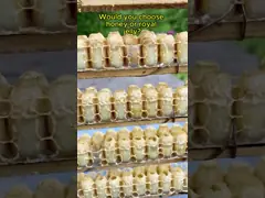 Bee Product 20kgs Organic Fresh Royal Jelly Pure Fresh Queen Food