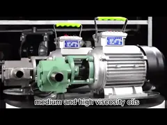 WCB type gear oil pump