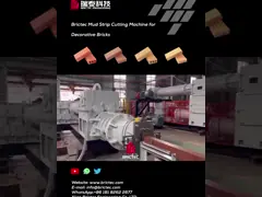 Macchina di taglio a strisce di fango Brictec per mattoni decorativi in linea di produzione