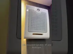 Wall Mounted Speaker