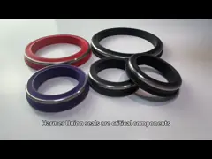 China Standard And Non Standard Heat Resistant Buna/HNBR/FKM/PTFE Hammer Union Seals For Oil Equipment Parts for sale