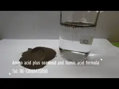 China Organic Compound Fertilizer with Amino Acid Seaweed and Humic Acid with NPK 5-2-11 for Fruit Trees for sale