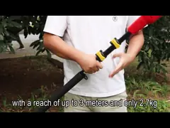China Telescopic Battery Pole Chainsaw Extendable Reach For Tree Trimming for sale