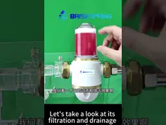 BriskSpring Gill Mesh Pre-Filter | Efficient Sediment Protection for Your Home