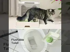 China Green Tea Cat Litter 10+ Years OEM Experience | Dust-Free Fast Clumping | Biodegradable Strip Type for sale