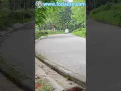 3000W Motor Adult Electric Car With 60V 100AH Lead Acid Battery
