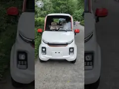 4000W Electric Four Wheeler Car 60V 120Ah 100km Driving Range