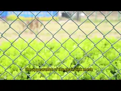 Crochet Uniform Mesh PVC rivestito Chain Link Fence Superficie liscia con lunga durata di vita