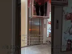 5 Stops Home Elevator Designed For 500mm Minimum Door Opening Width