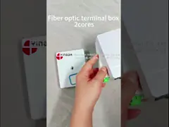 FTB86MS 2SC Port Fiber Optic Termination Box for FTTH PON Plastic Optical Rosette SC LC Adapters