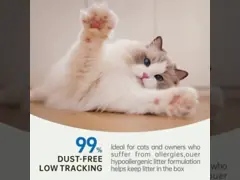 China Natural Sodium Based Mineral Cat Litter 0.5-2.5mm Fast Agglomerating Low Dust Pet Litter for sale