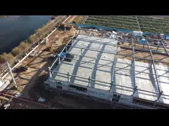 China Heavy Industrial Steel Buildings with H Section Frame 50 Year Lifespan for sale