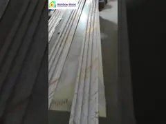 China Soundproofing Wpc Wall Panel Interior Pet Proof Crack Resistant for sale