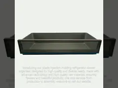 Plastic Injection Molding Refrigerator Drawer Organizer