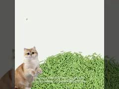 China Economical Green Tea Cat Litter 1.5mm-2.0mm Strip Type with ISO9001 Certification and OEM Packaging for sale