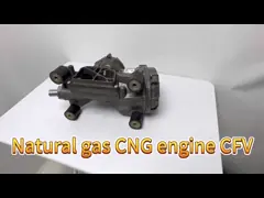 China CNG engine CFV WG1238110131 VG1238110131 AN1000-1113F40 J4R00-1113F40C Sinotruk HOWO truck parts cng spare parts for sale