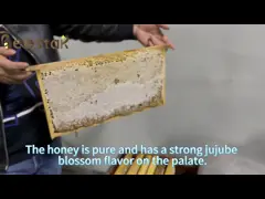 Wholesale 100% Natural Bee Honey High quality Pure Raw Organic Traditional Herb Honey