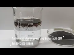 China Seaweed Extracted From Kelp Organic Liquid Fertilizer Enzymatic Hydrolysis for sale