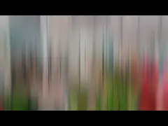 Cina Oasis serie costruzione accelerata case in contenitore in acciaio per case vacanze e appartamenti in studio uso alberghiero metallico in vendita