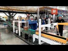 China Fully Automatic Stainless Steel Case Sealer with 5-90 Cases/Min Capacity for Industrial Carton Packaging for sale