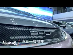 401km BYD Dolphin Electric Hybrid Cars EV Sedans 2021