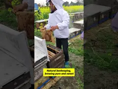 Wholesale High Quality 100% Natural Pure Bush forest Honey No Additives Natural Bee Honey