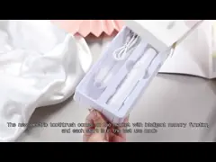 YS008 Sonic Electric Toothbrush