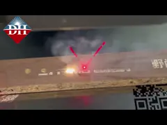 Máquina de marcado láser volador Co2