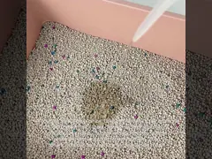 Premium Dust Free Hard Clumping Bentonite Cat Litter Natural Ingredients Lightweight