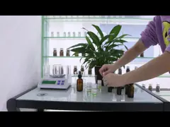 Wholesale Price Free Samples Long Lasting Midnight Fragrance Branded Imitation Oil Woman Perfume
