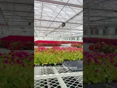 Plant Growing Greenhouse Accessories 4'×8'  4'×10' Ebb And Flow Rolling Bench